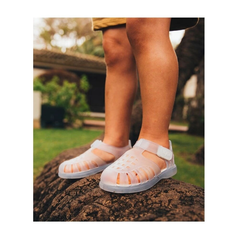 Cangrejera Tobby Transparente de Igor