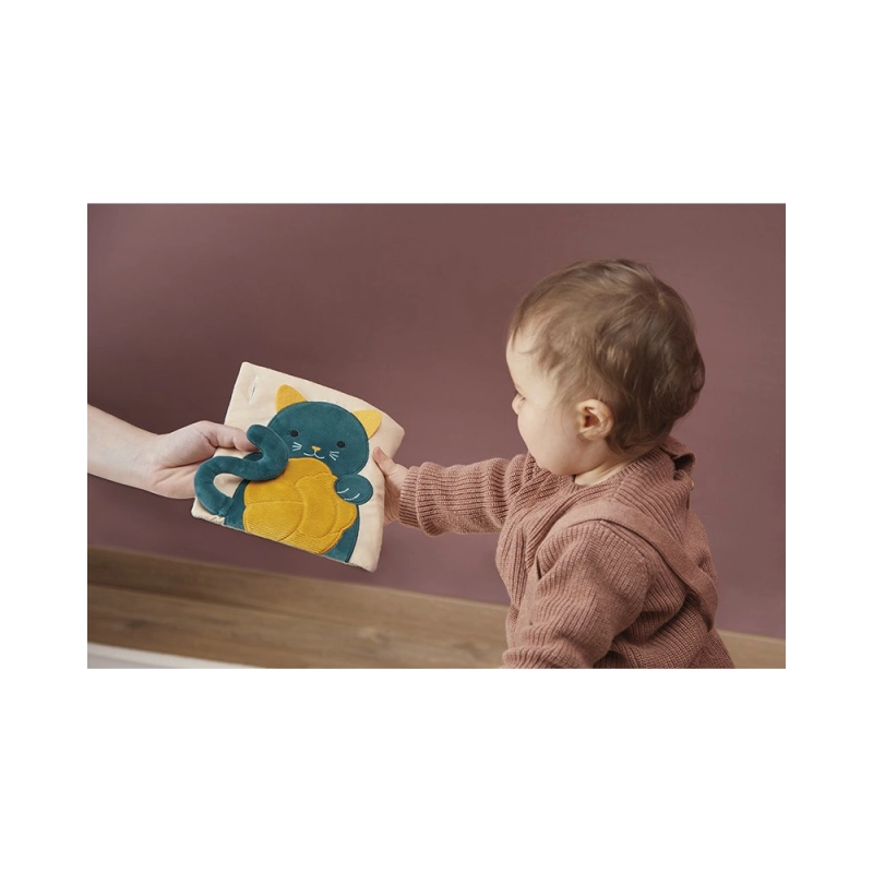 Mis cartas del Despertar Sensorial de Kaloo